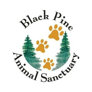 Black Pine Animal Sanctuary
